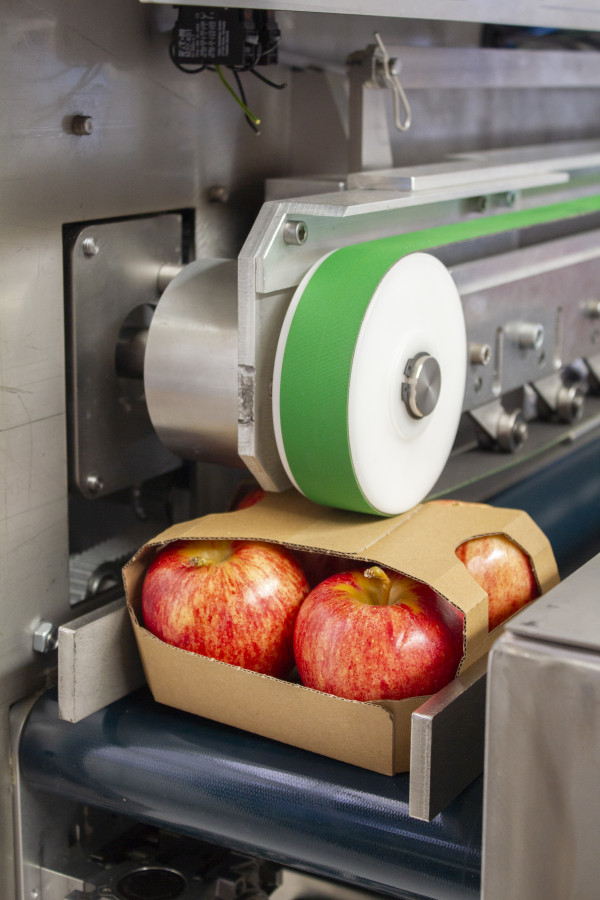 SIKA fruit | silcoplan